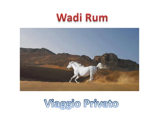 Guida locale in giordania | PDF