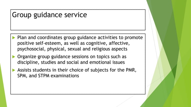 Guidance and counselling services | PPTX