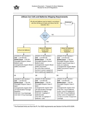 Guidance documentonthetransportoflibatt 2010 | PDF