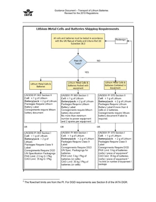 Guidance documentonthetransportoflibatt 2010 | PDF