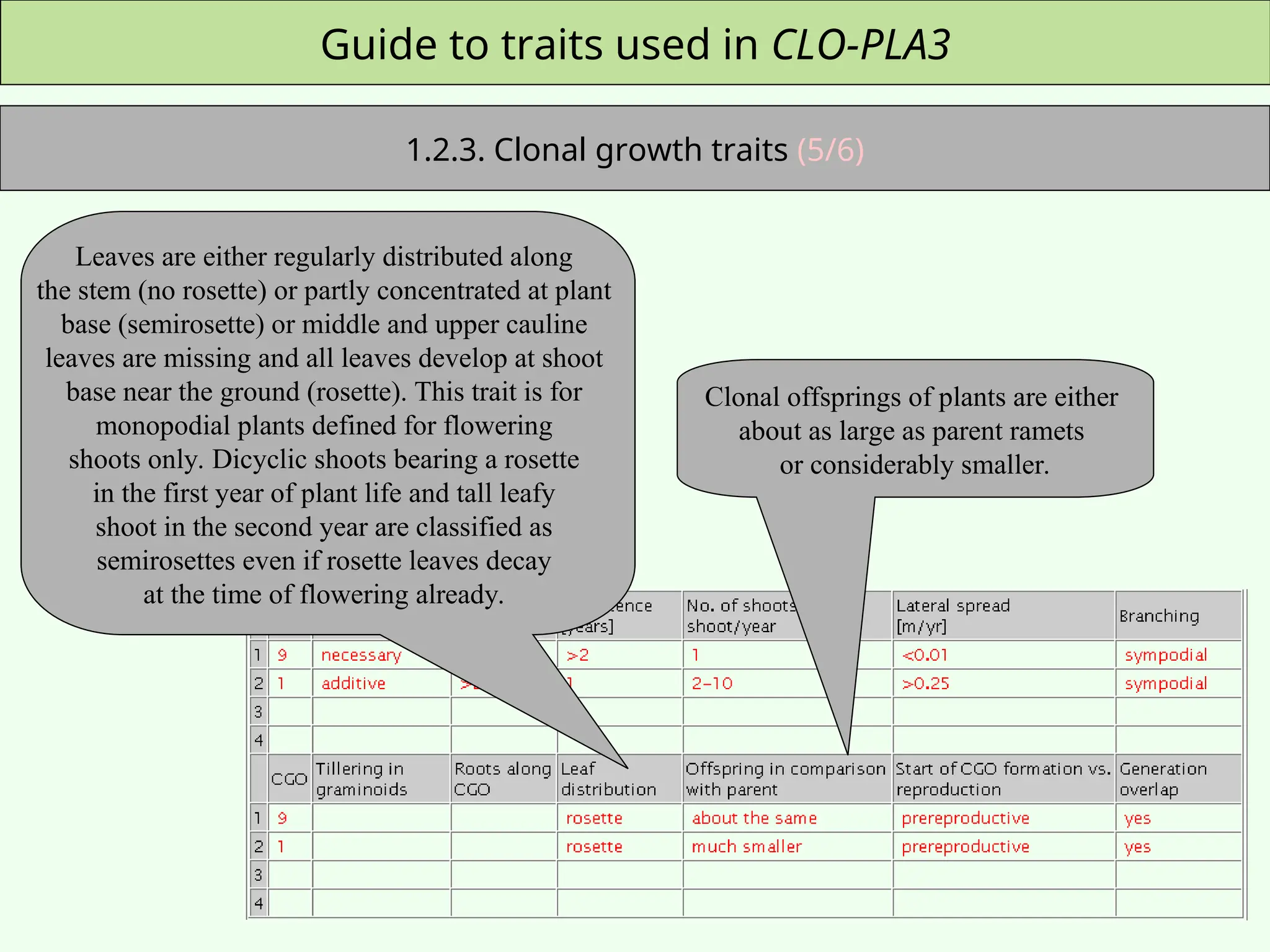 guide.ppt presentation for students practice | PPT