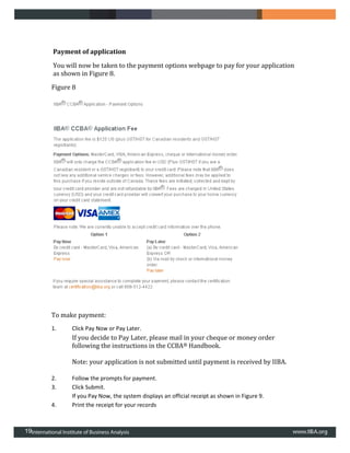 Guide to-completing-ccba-application | PDF