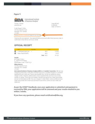 Guide to-completing-ccba-application | PDF