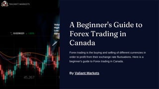 Beginner's Guide to Forex Trading in Canada | PDF | Stocks and Bonds ...