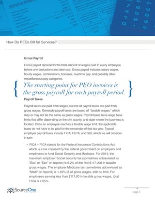 Guide to PEO Billing Reports | PDF | Personal Taxes | Personal Finance