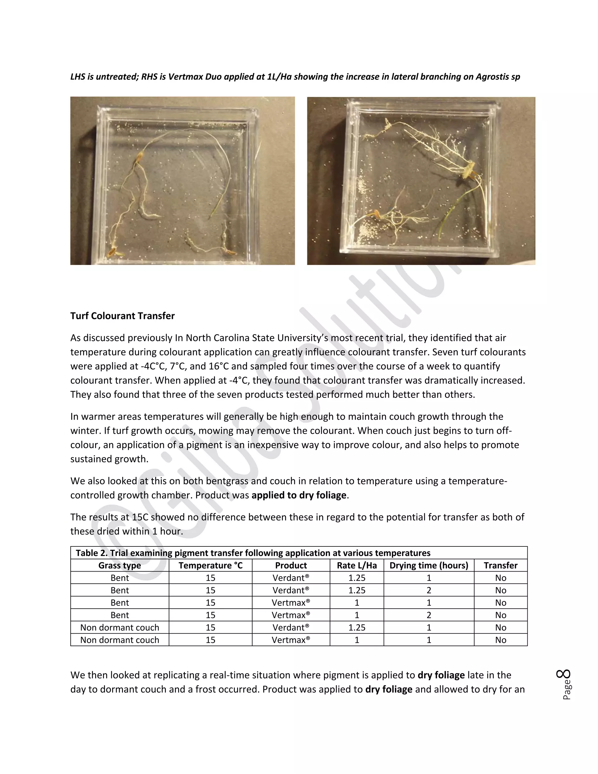 Guide-to-Using-Turf-Colorants.pdf