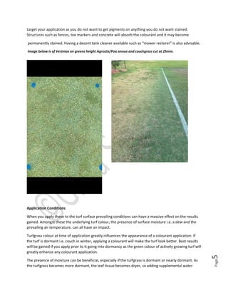 Guide-to-Using-Turf-Colorants.pdf | Gardening | Home & Garden
