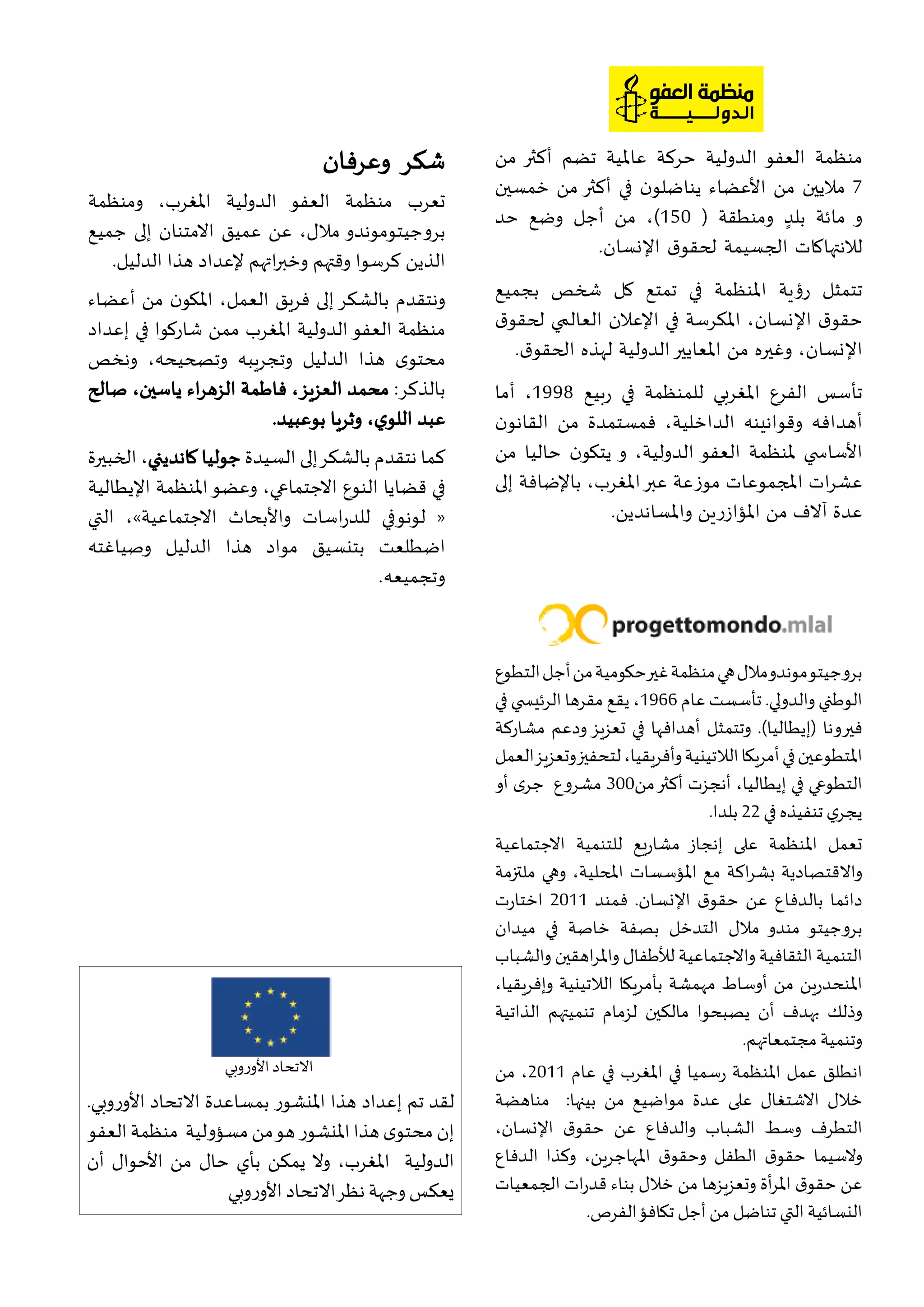 Guide arabe Amnesty | PDF