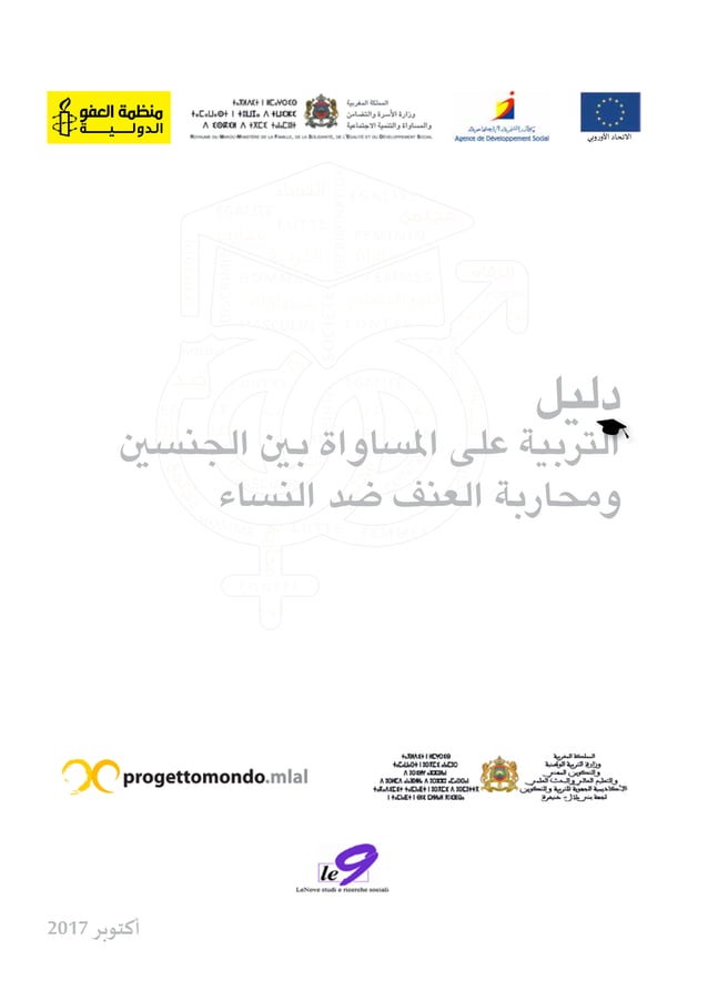 Guide arabe Amnesty | PDF