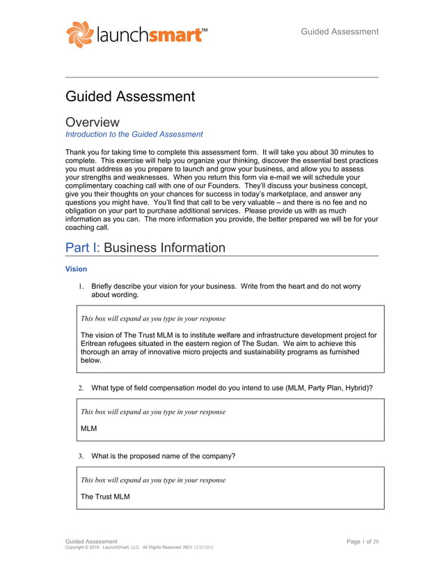 Guided assessment | PDF | Marketing and Advertising | Business