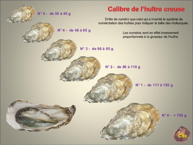 Classification Des Huitres : Choisir et déguster les huîtres – YVCGPD