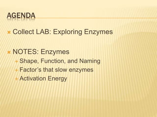 Biochem 5: Enzymes | PPT