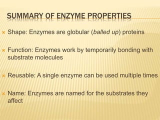 Biochem 5: Enzymes | PPT