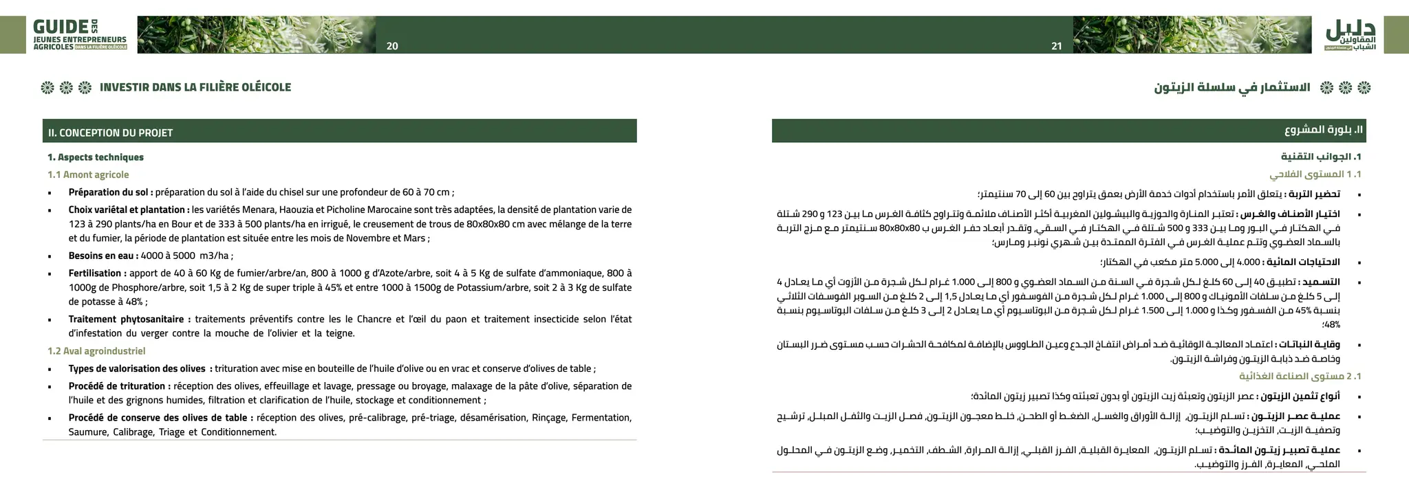 guide des jeunes entrepreneurs olivier.pdf