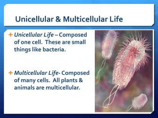 Introduction to Cells | PPTX