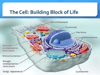 Introduction to Cells | PPT