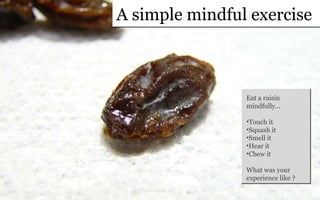 Guided mindfulness meditation - What is mindful meditation & how to do ...