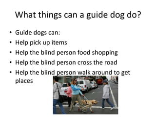 Guide dogs powerpoint for kids | PPTX