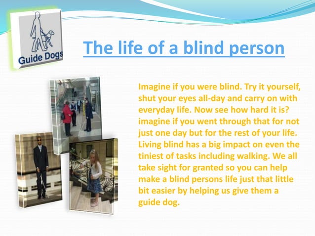 Guide dogs | PPTX