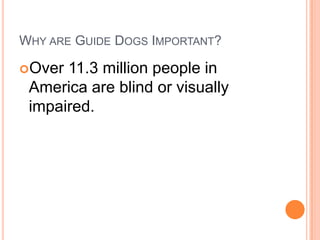 Guide dogs for the blind powerpoint | PPTX