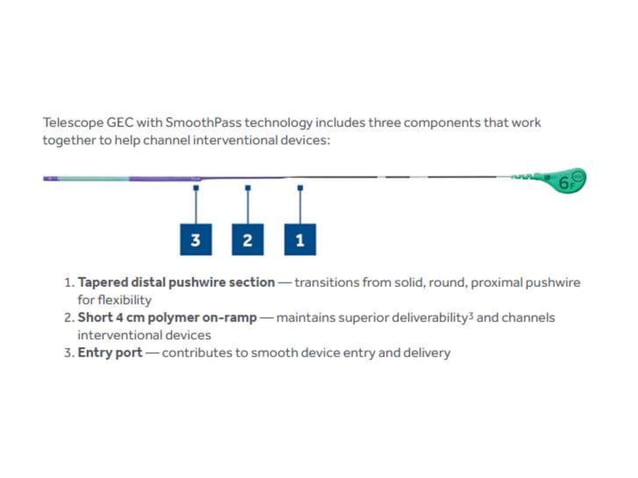 Guide Extension Catheter | PPTX