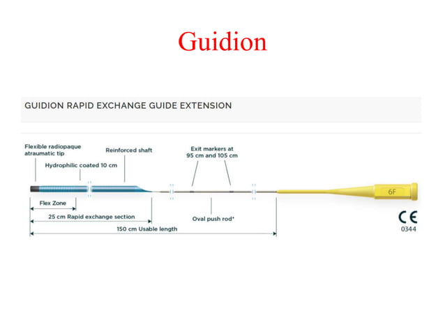 Guide Extension Catheter | PPTX