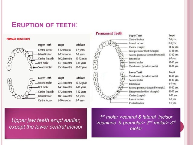 Guide line for groth and development | PPTX