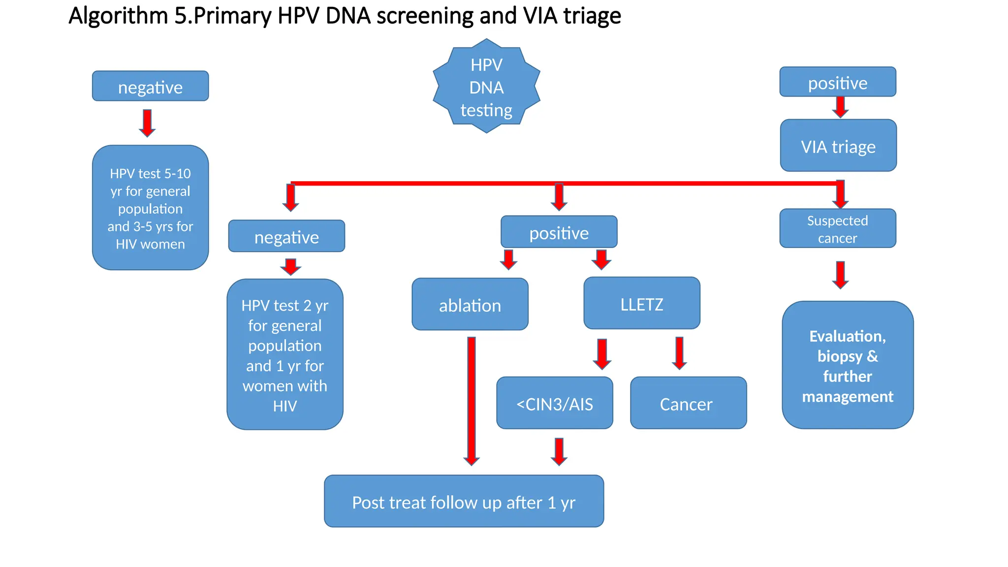 Guideline for screening and treatment of cervical precancer. zwe.pptx