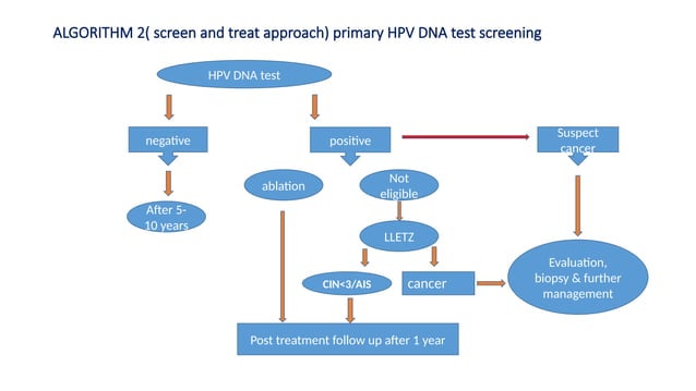 Guideline for screening and treatment of cervical precancer. zwe.pptx