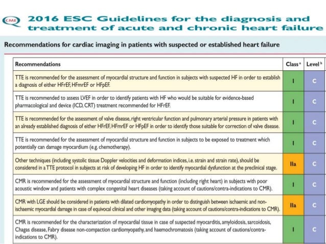 Escardio Guidelines Heart Failure