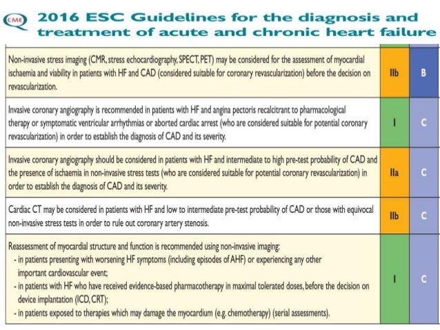 Guideline for the management of heart failure