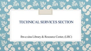 Guideline In House Software Development and working (Technical section).pdf