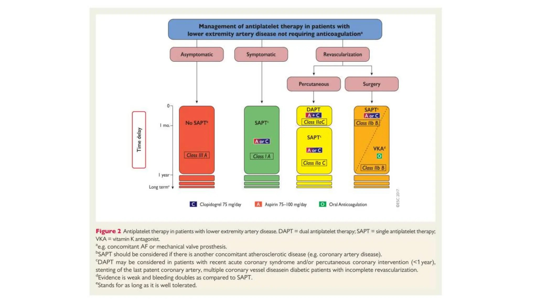 guideline periperal arterial disease in adult | PPTX