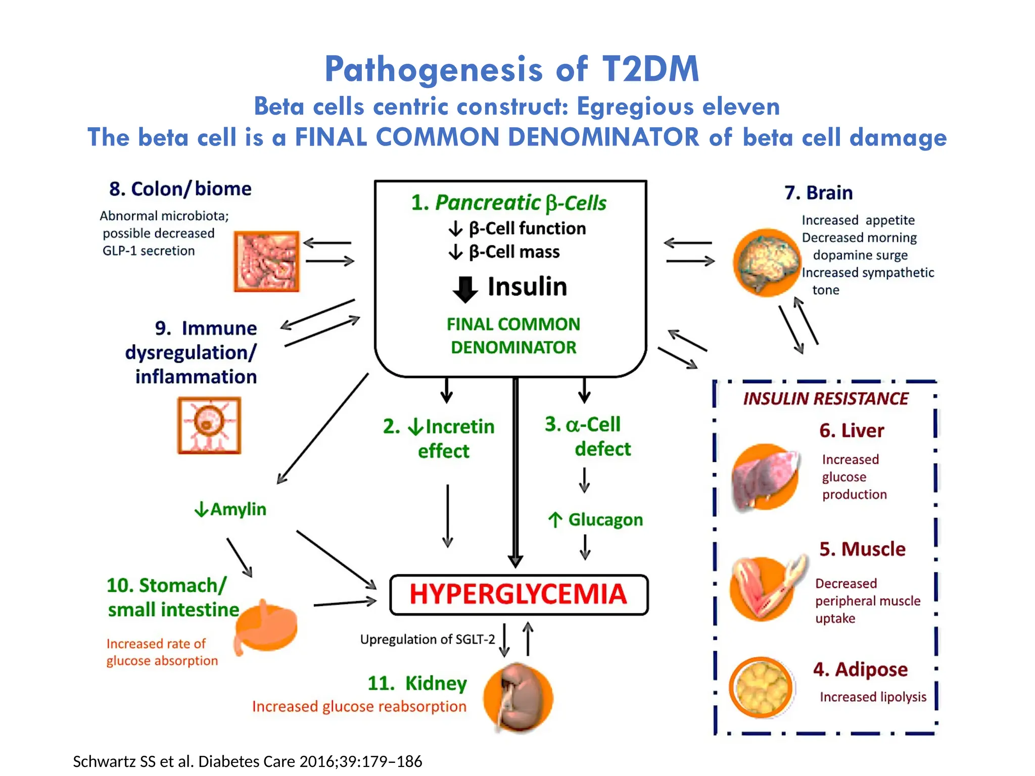 Guideline Perkeni terbaru yang bisa dijadikan panduan | PPTX