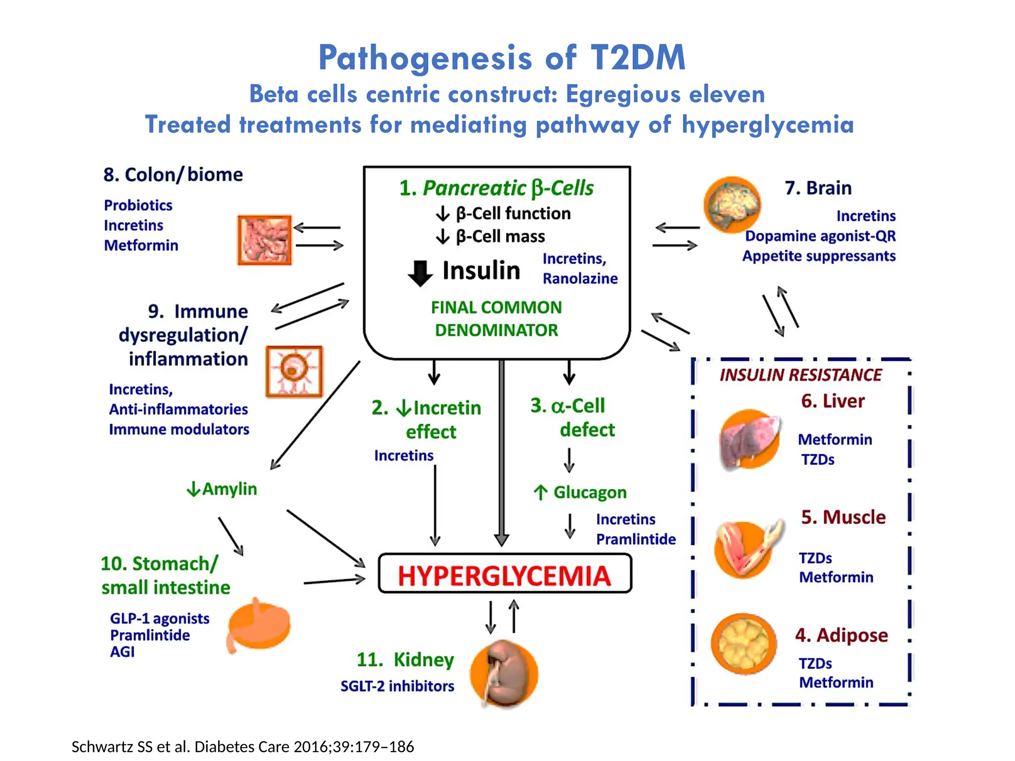 Guideline Perkeni terbaru yang bisa dijadikan panduan | PPTX