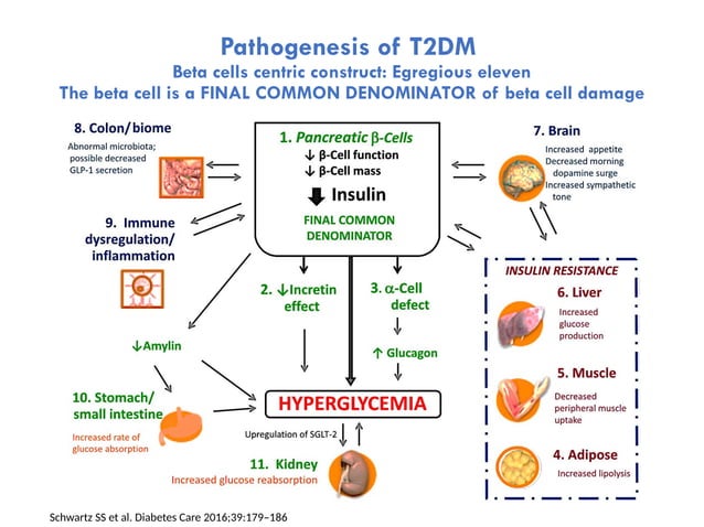 Guideline Perkeni terbaru yang bisa dijadikan panduan | PPTX