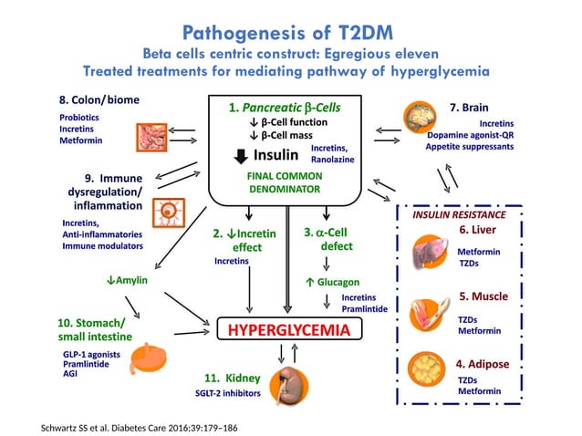 Guideline Perkeni terbaru yang bisa dijadikan panduan | PPTX