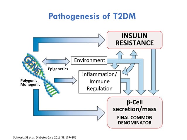 Guideline Perkeni terbaru yang bisa dijadikan panduan | PPTX