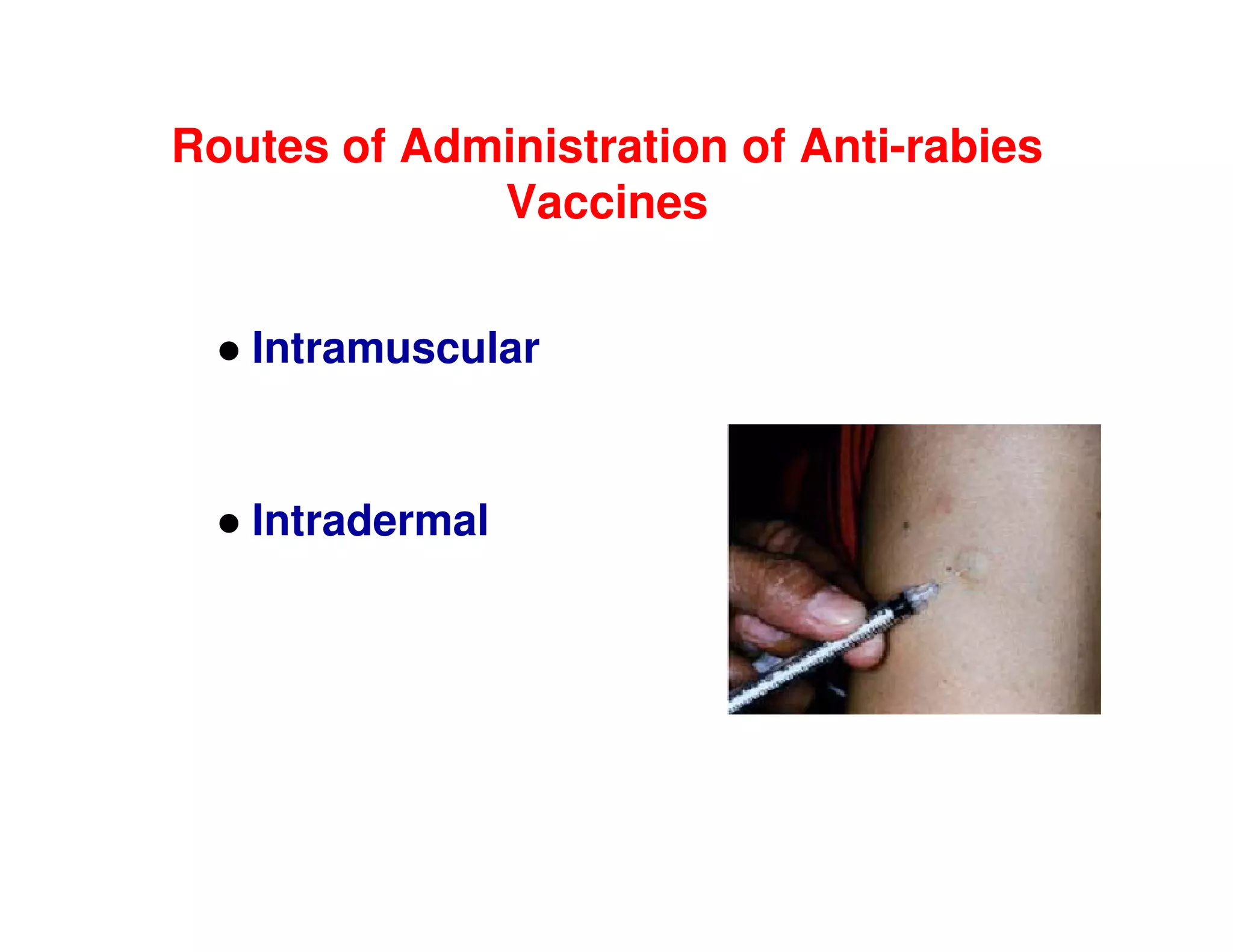 Guideline_Rabies_prophylaxis_PPT_PDF.pdf