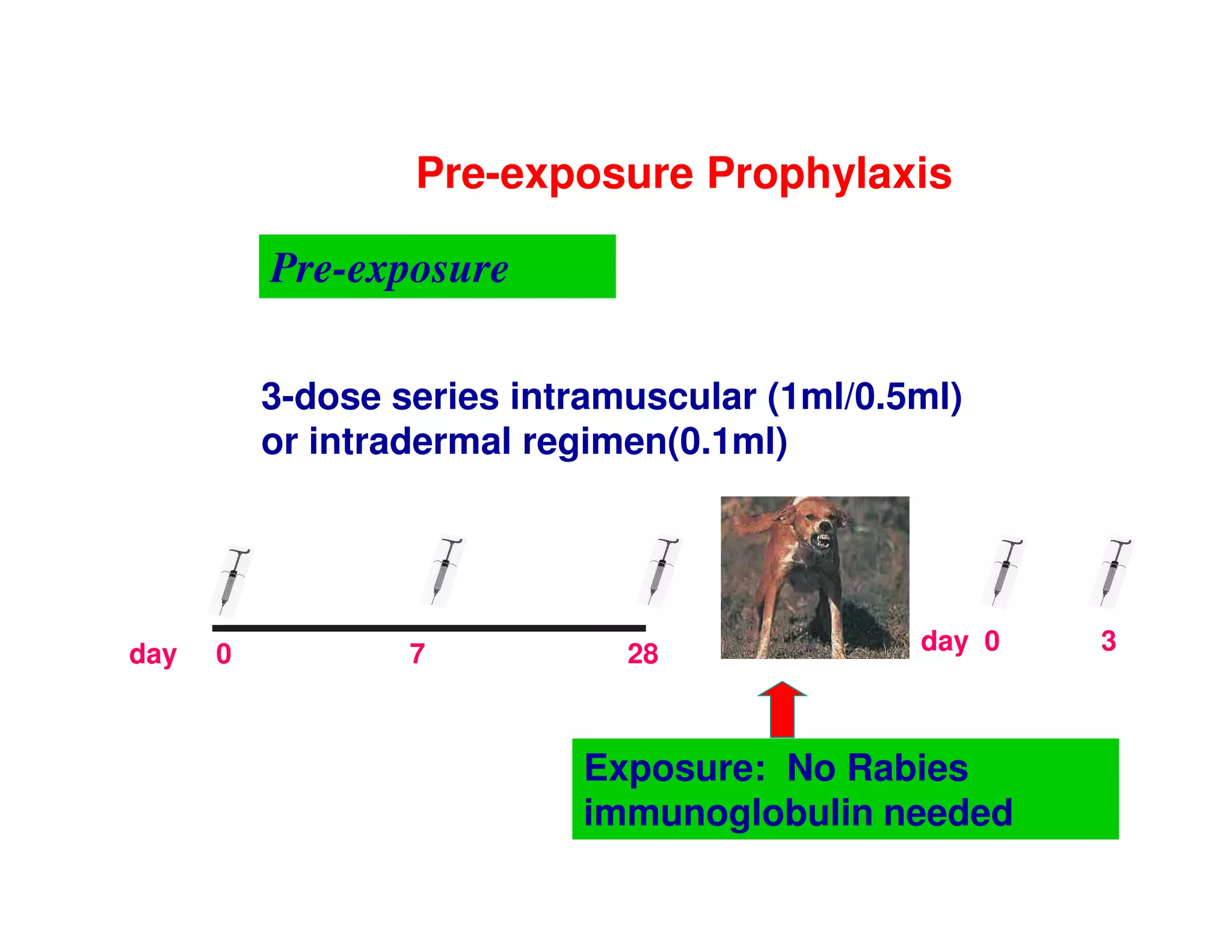 Guideline_Rabies_prophylaxis_PPT_PDF.pdf