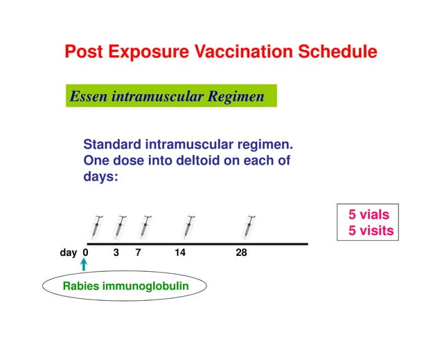 Guideline_Rabies_prophylaxis_PPT_PDF.pdf