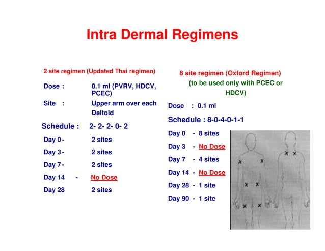 Guideline_Rabies_prophylaxis_PPT_PDF.pdf