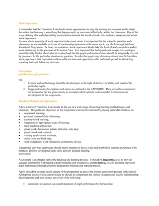 Transition Year Guidelines | PDF