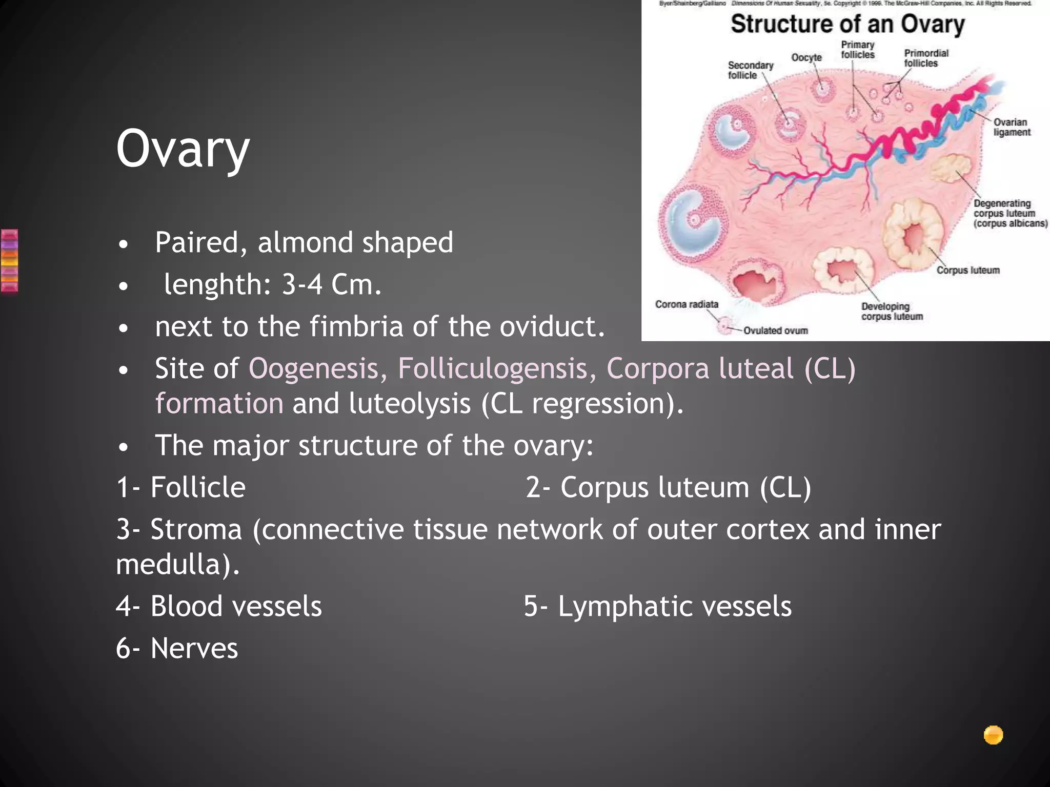 Oocyte Morphology assessment | PPTX