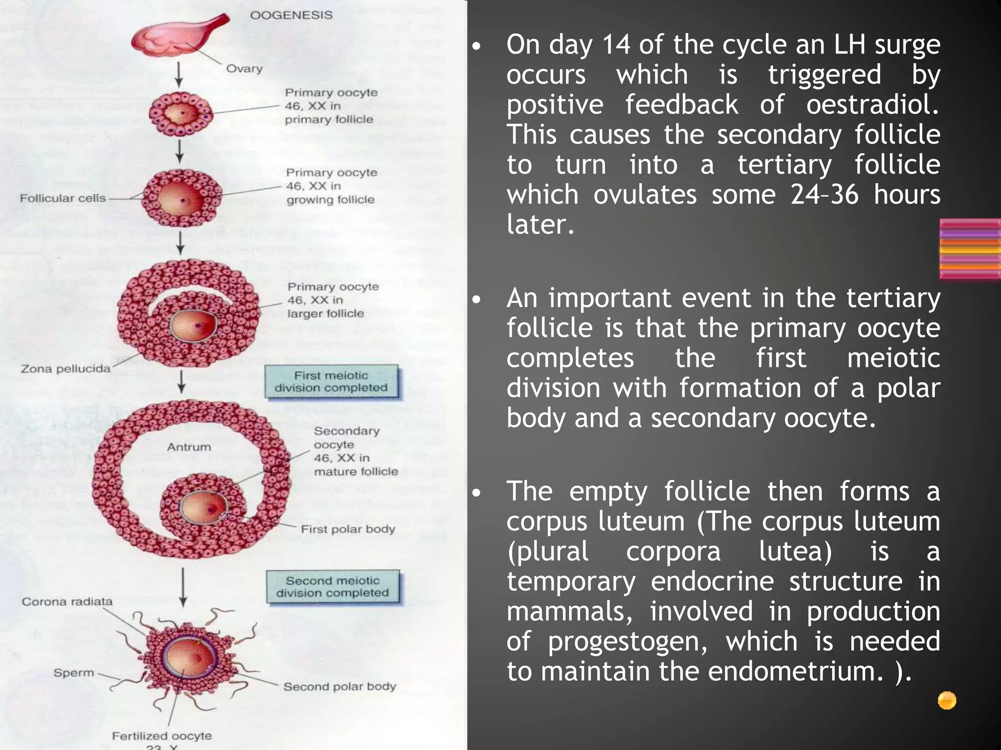 Oocyte Morphology assessment | PPTX | Infertility | Reproductive Health