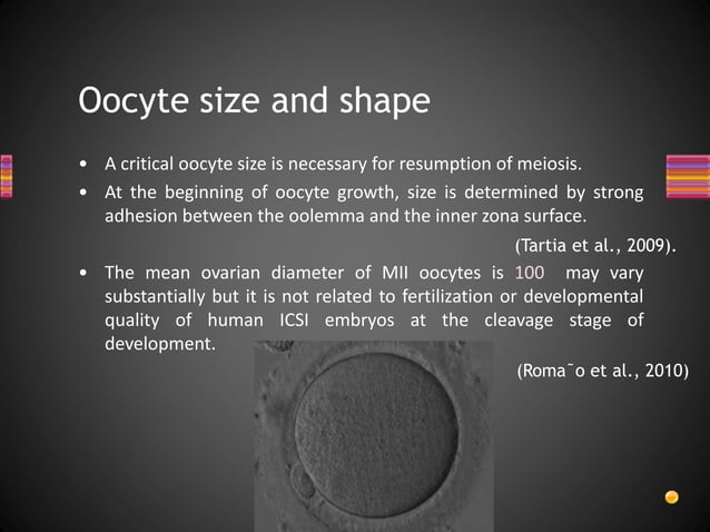 Oocyte Morphology assessment | PPTX | Infertility | Reproductive Health