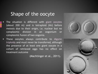 Oocyte Morphology assessment | PPTX | Infertility | Reproductive Health
