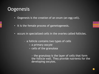 Oocyte Morphology assessment | PPTX