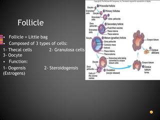 Oocyte Morphology assessment | PPTX