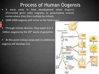 Oocyte Morphology assessment | PPTX